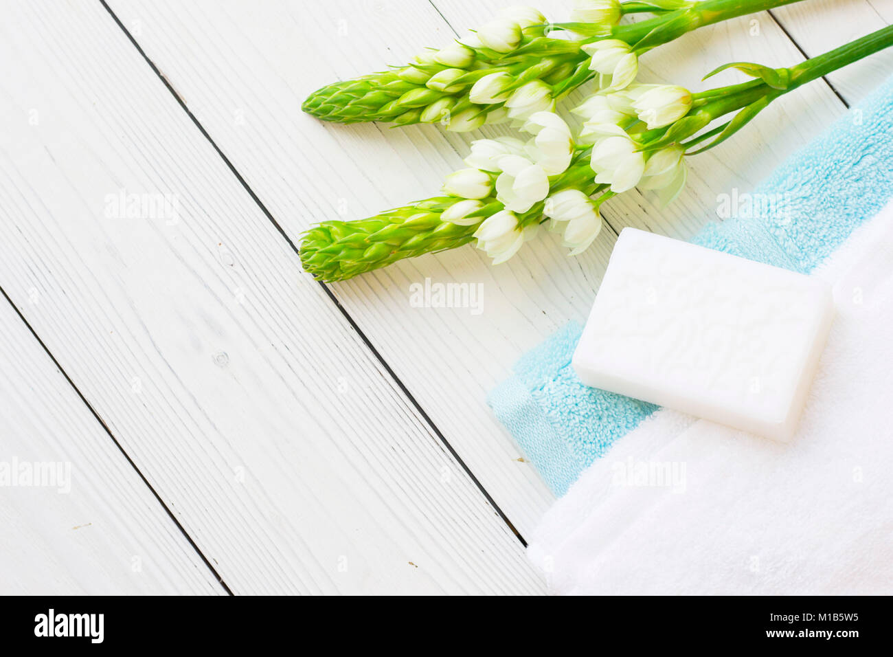 Sea shell spa concept Stock Photo - Alamy