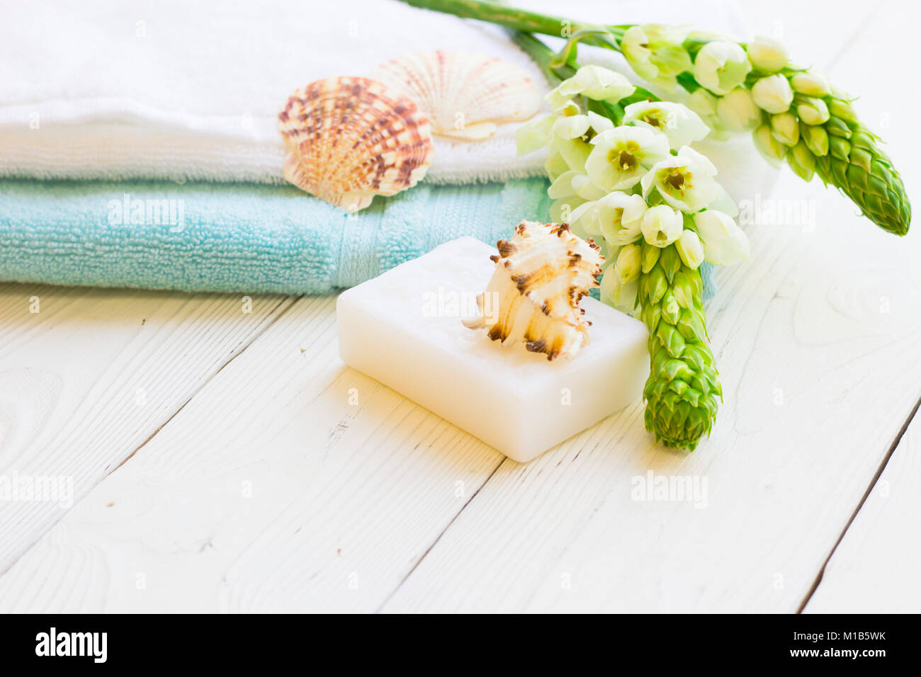 Sea shell spa concept Stock Photo - Alamy