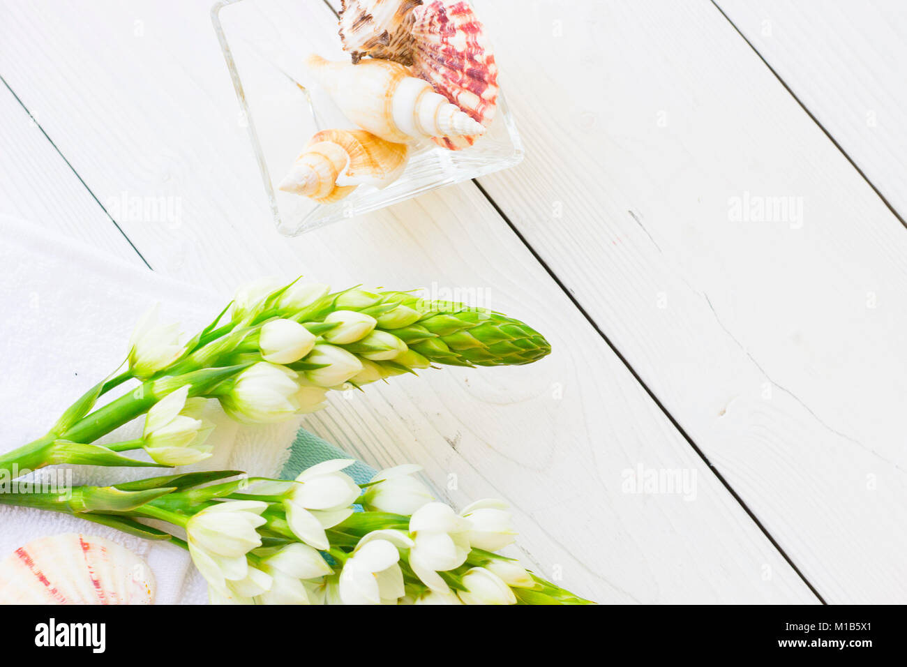 Sea shell spa concept Stock Photo - Alamy