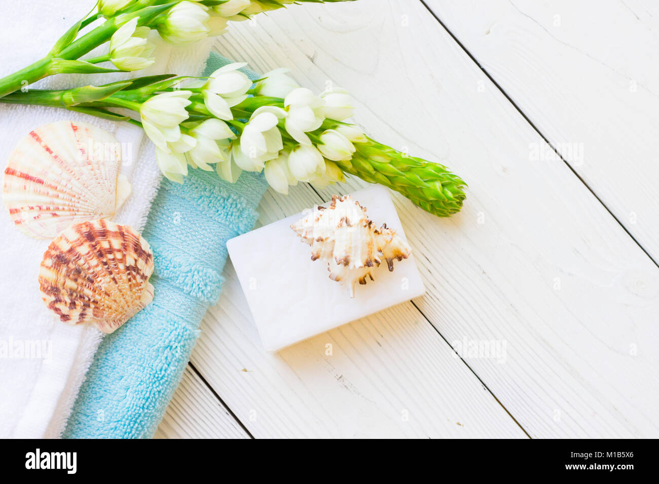 Sea shell spa concept Stock Photo - Alamy