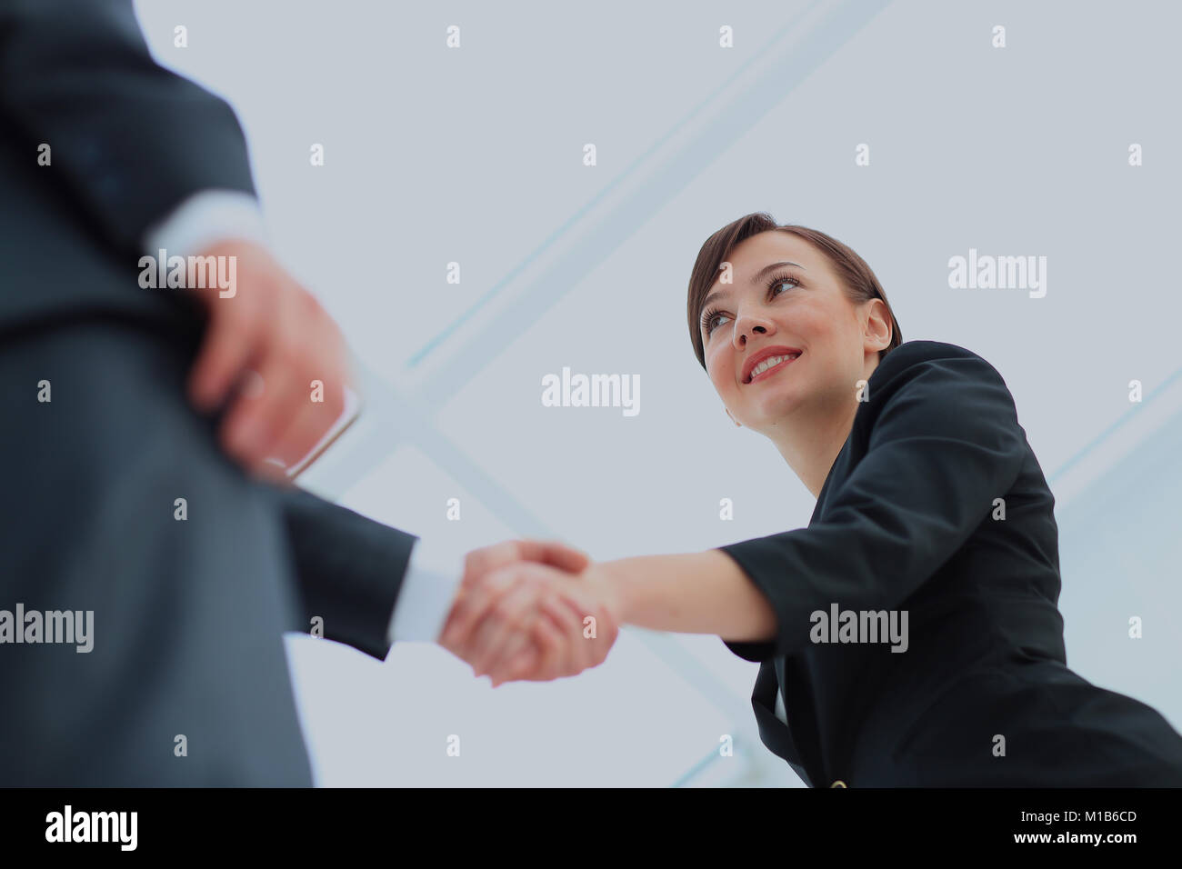 Two professional business people shaking hands Stock Photo - Alamy