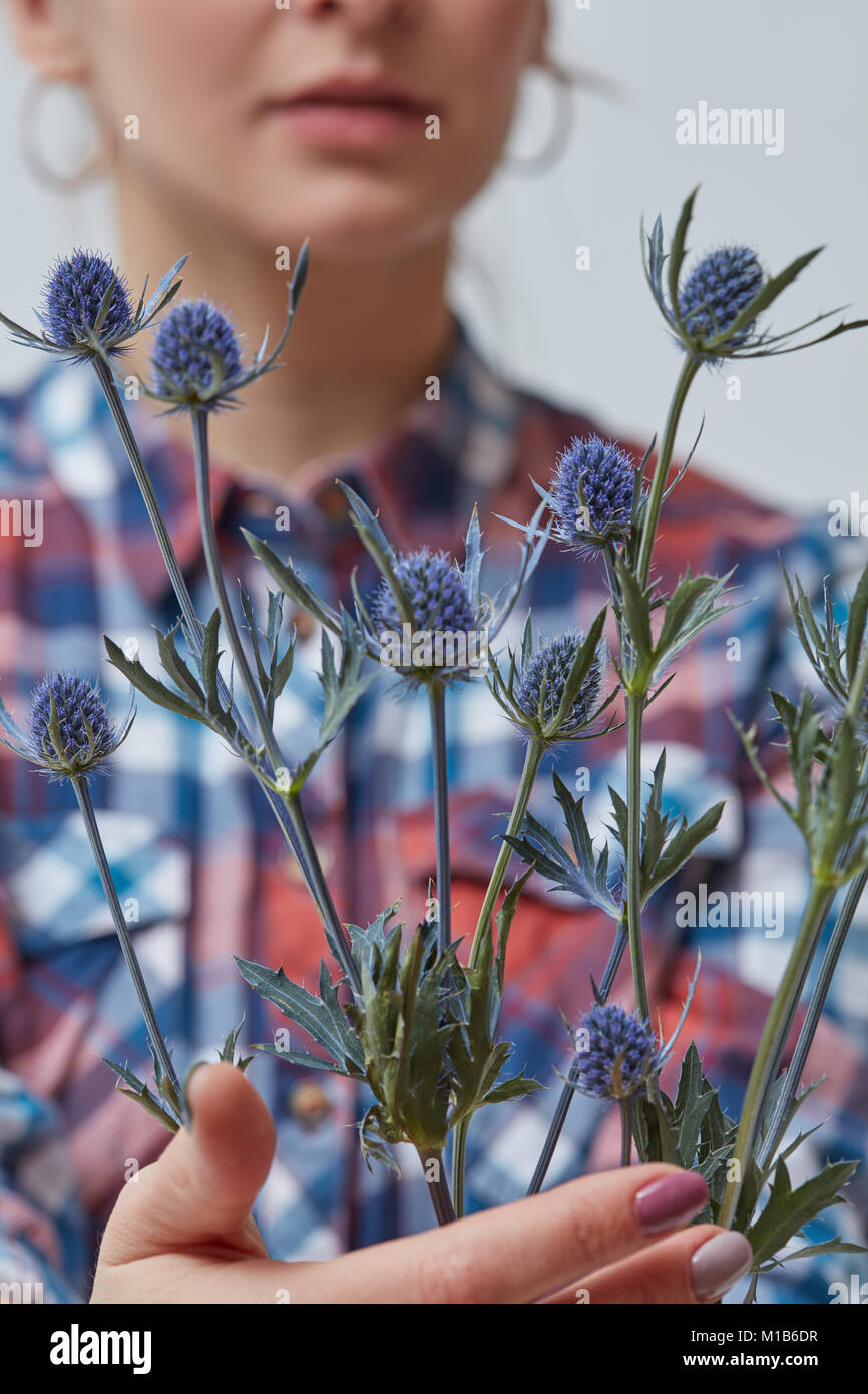 woman holding blue flowers eryngium Stock Photo - Alamy