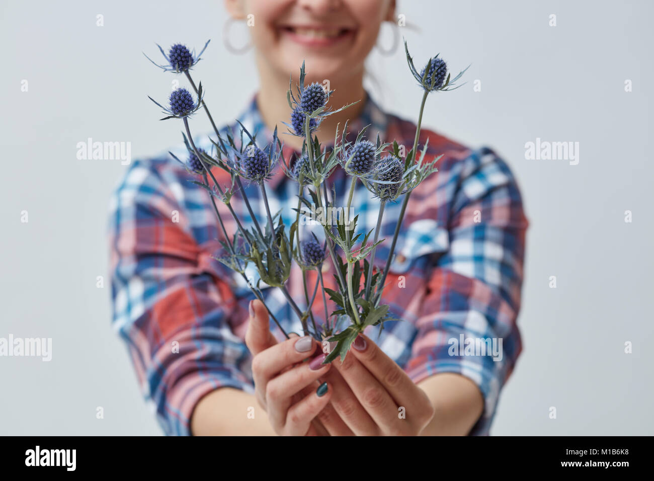 woman holding blue flowers eryngium Stock Photo - Alamy