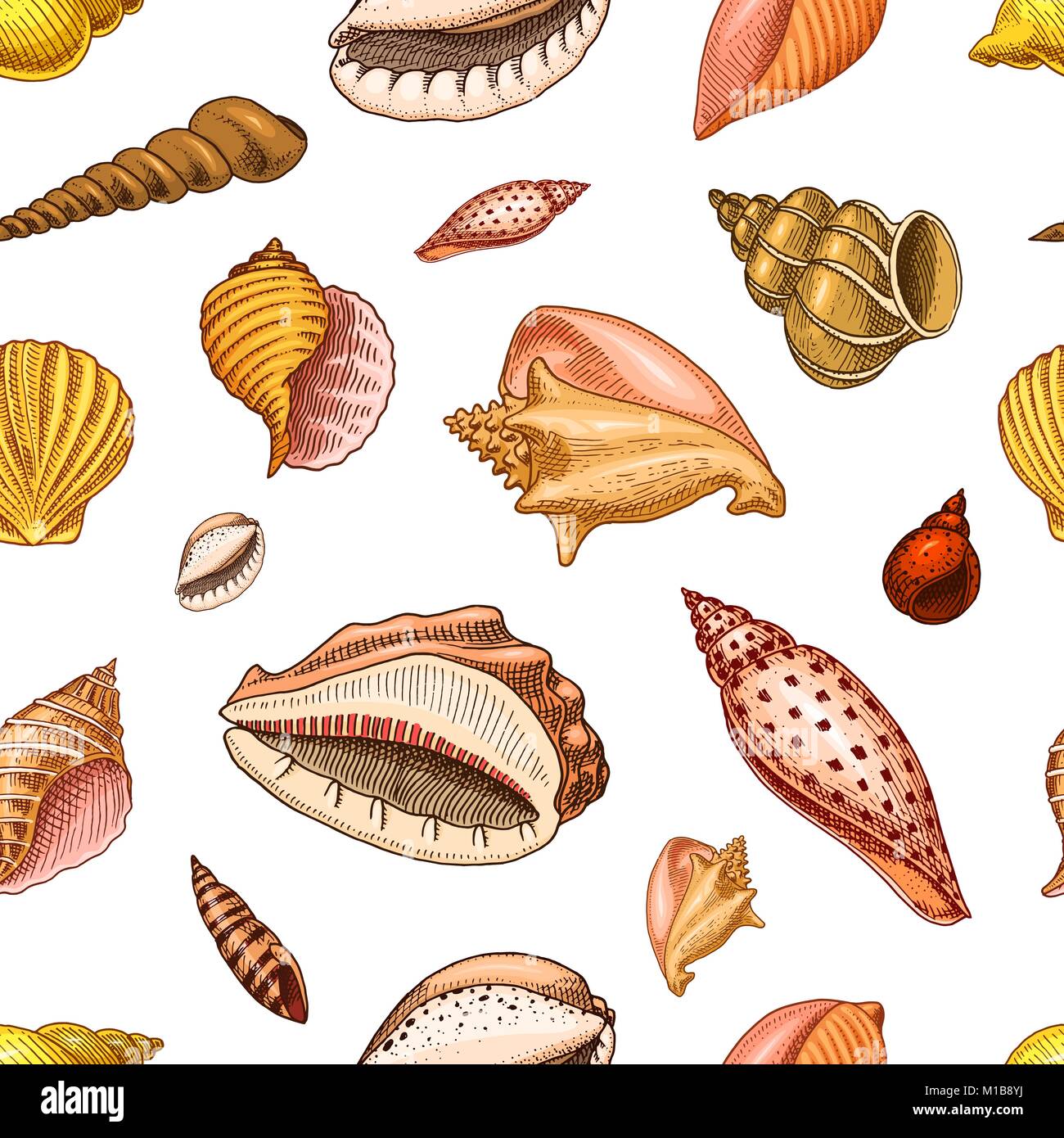 seamless pattern shells or mollusca different forms. sea creature ...