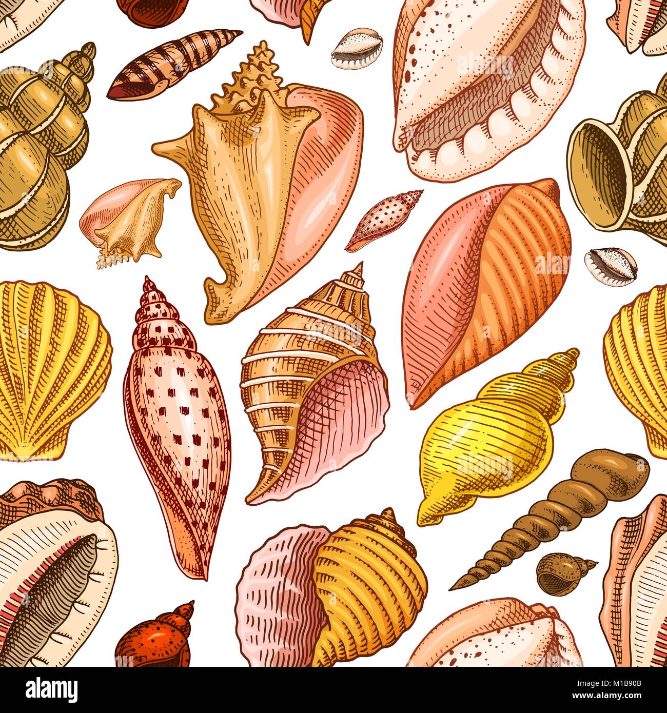 seamless pattern shells or mollusca different forms. sea creature ...
