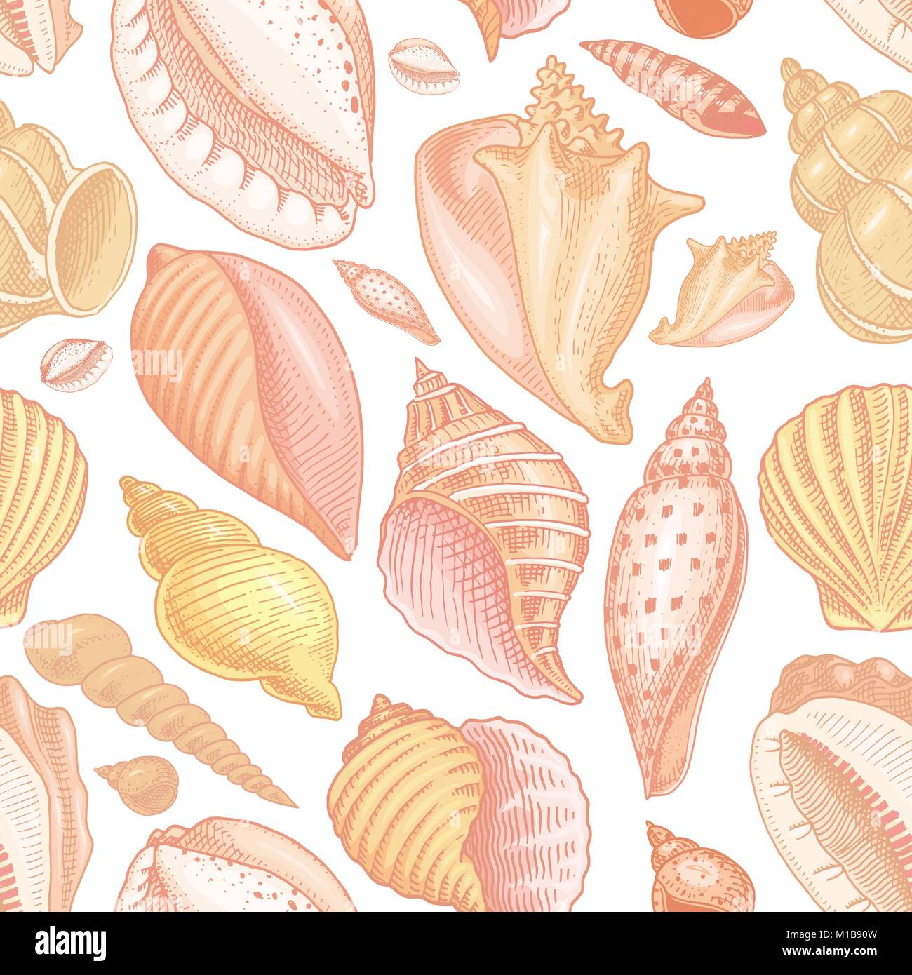 Different marine life forms hi-res stock photography and images - Alamy