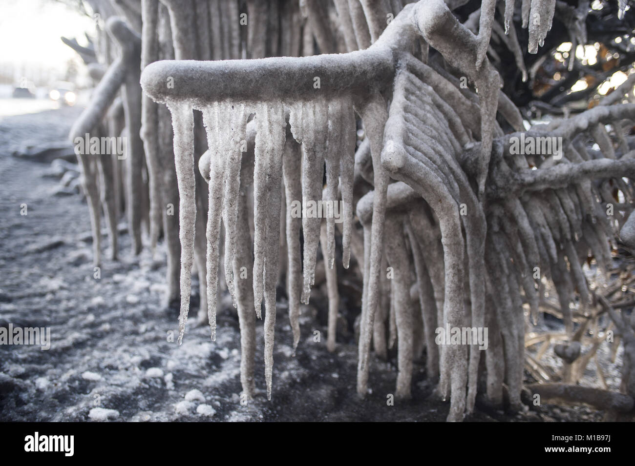Cars driving through a puddle and sub zero temperatures create a ...