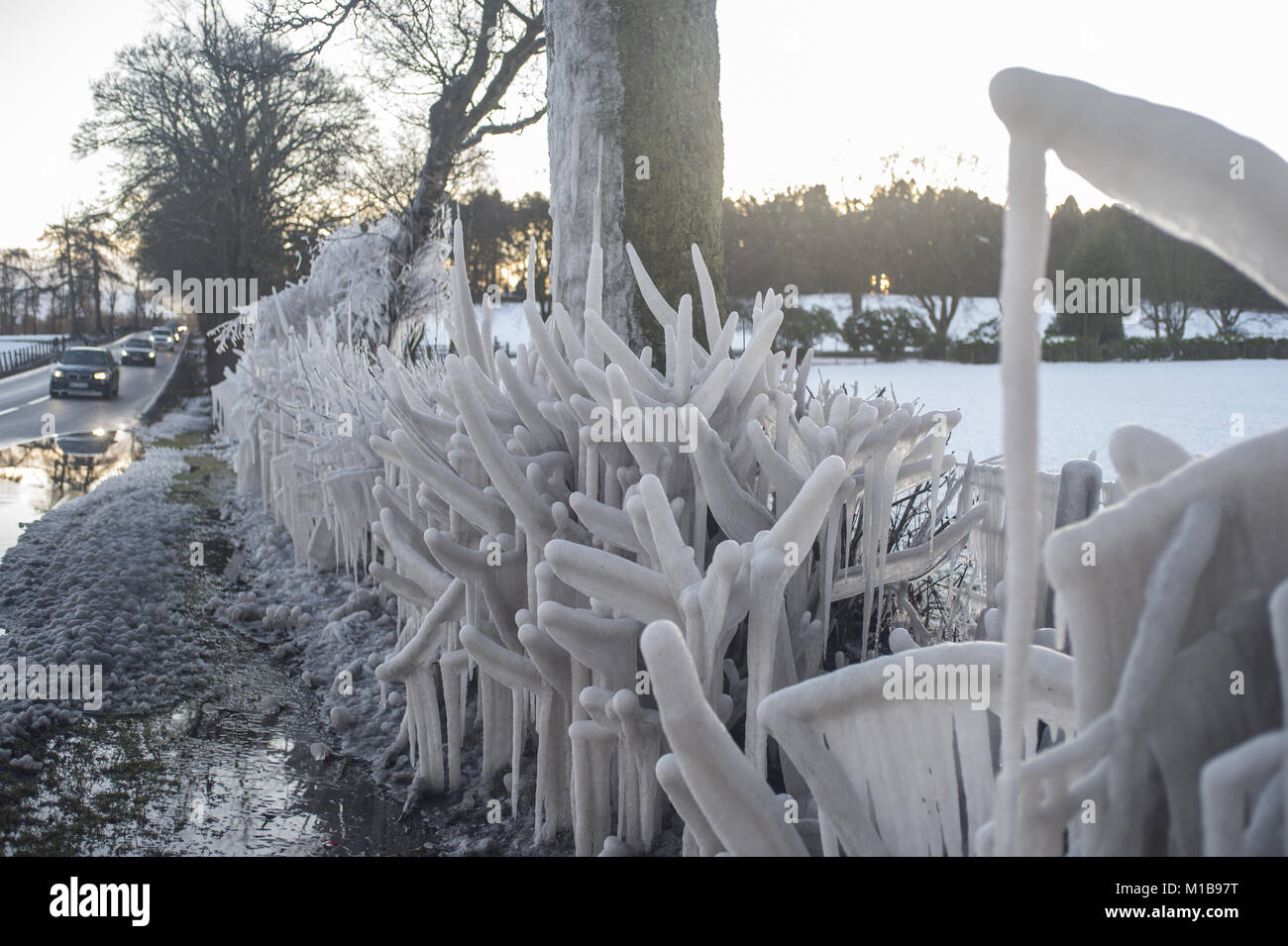 Cars driving through a puddle and sub zero temperatures create a ...