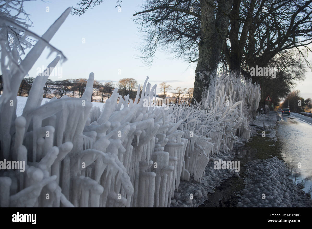 Cars driving through a puddle and sub zero temperatures create a ...