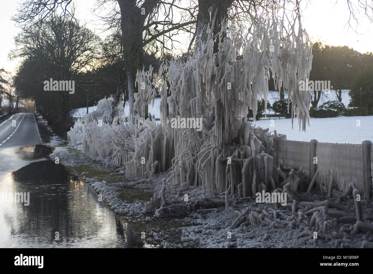 Cars driving through a puddle and sub zero temperatures create a ...