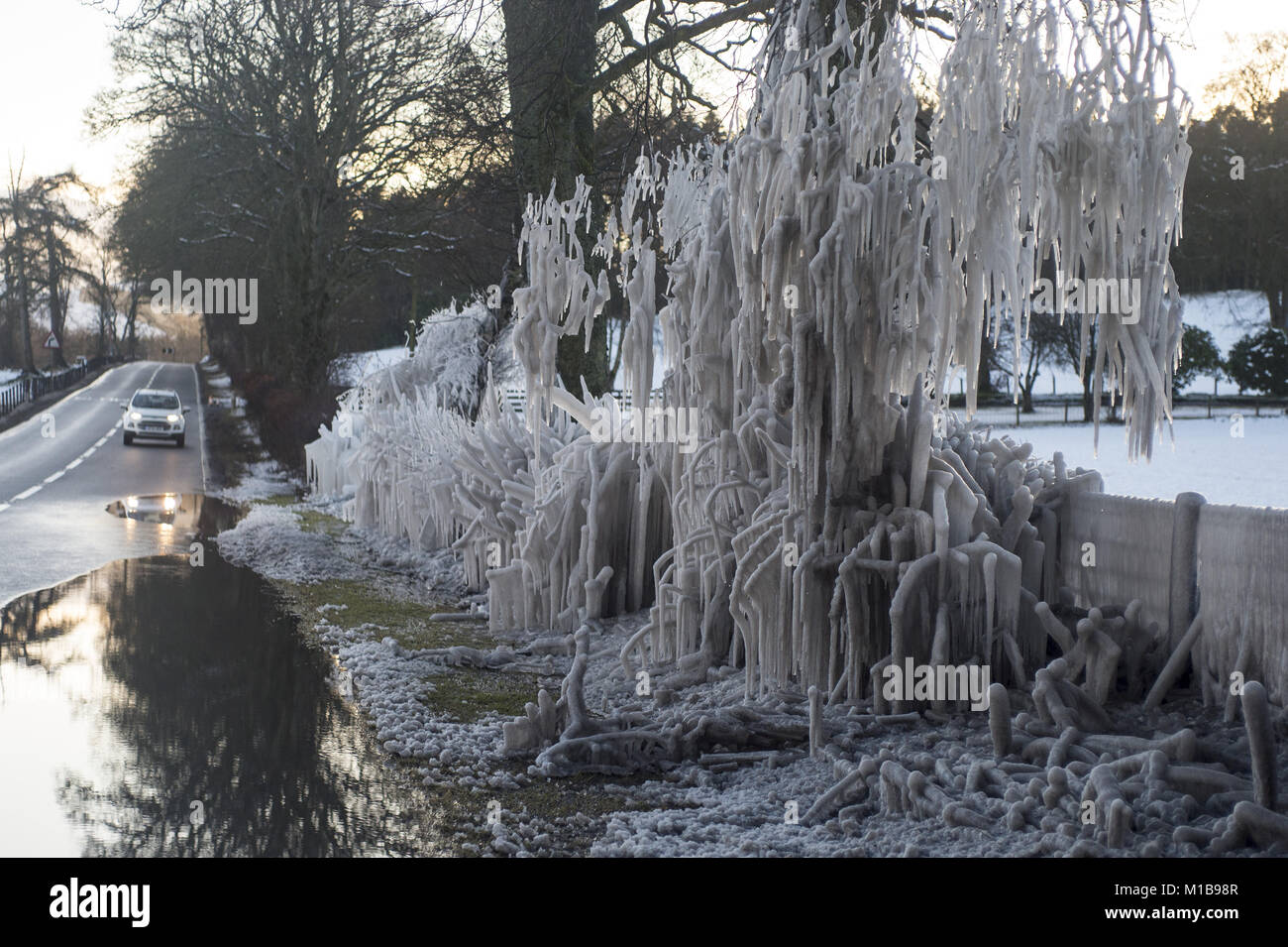 Cars driving through a puddle and sub zero temperatures create a ...