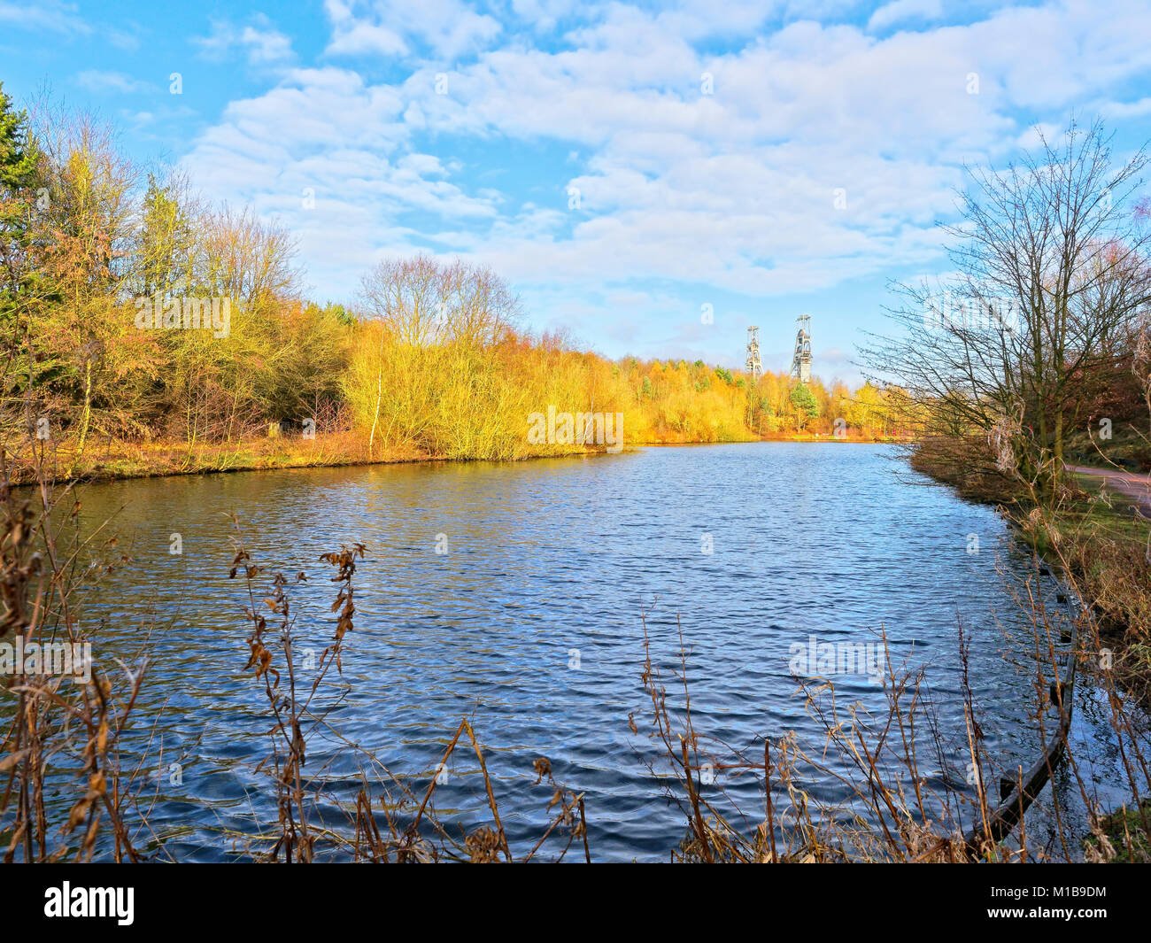 Vicar water lake, hi-res stock photography and images - Alamy