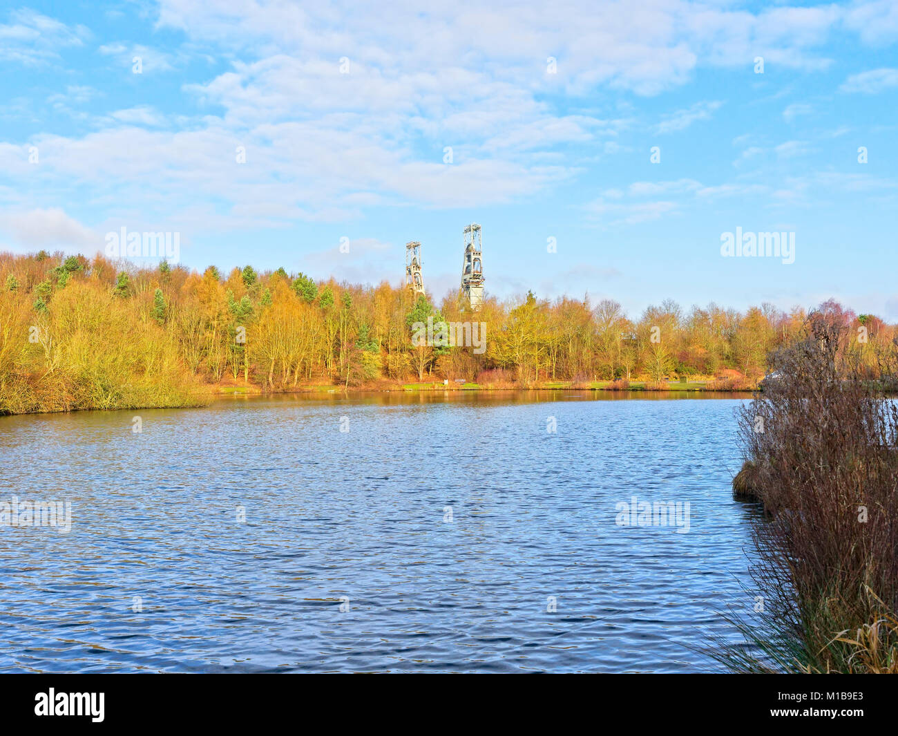 Standing on the banks of Vicar Water, amongst the reeds, looking across ...