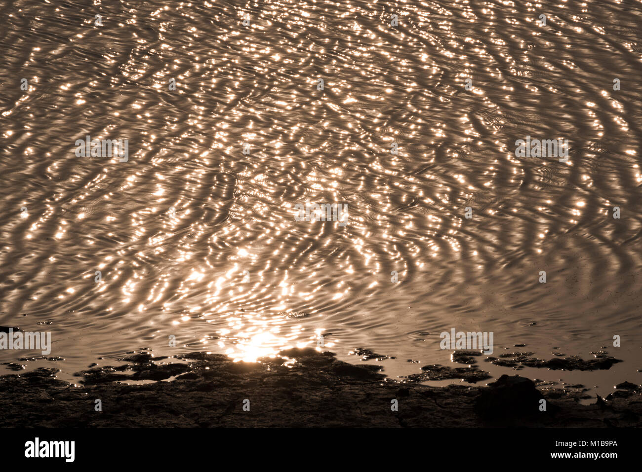 Water Ripples during sunset in Kutch Gujarat India Stock Photo - Alamy