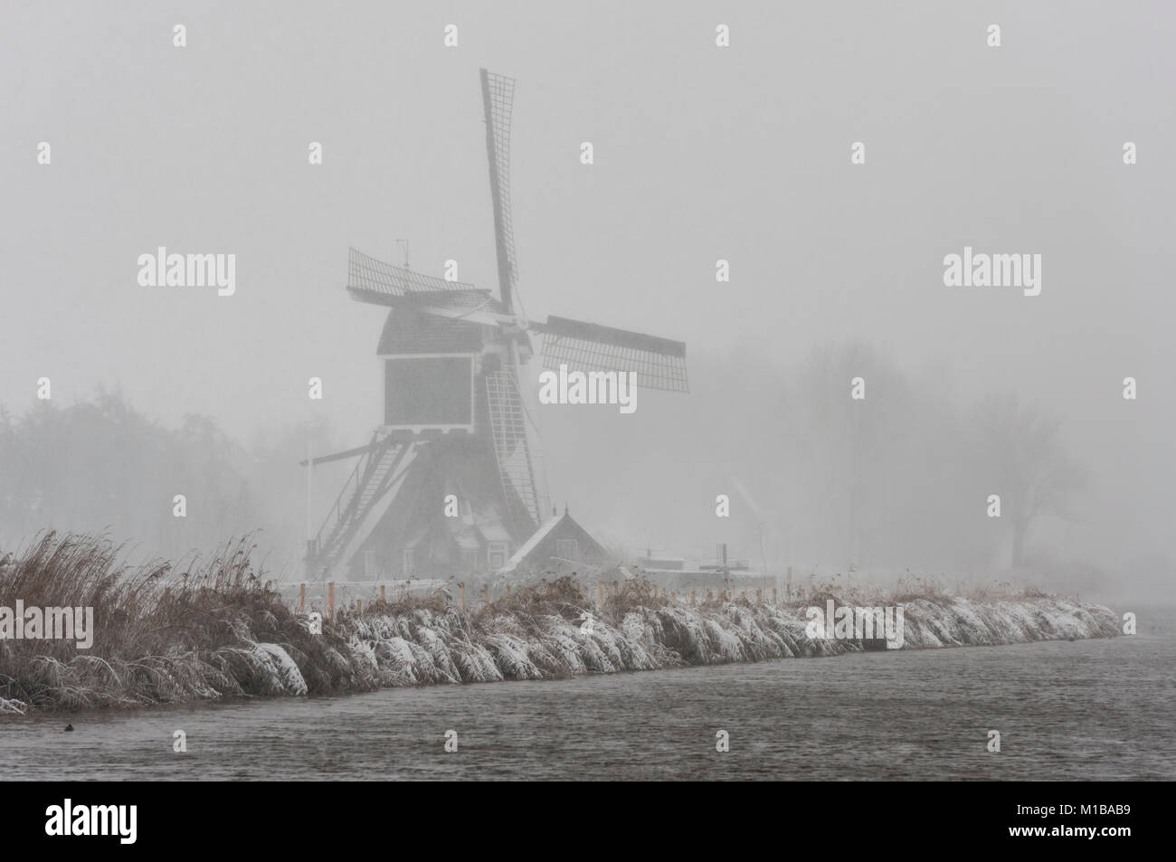Mill in Groot-Ammers during a blizzard winter storm with lots of snow ...