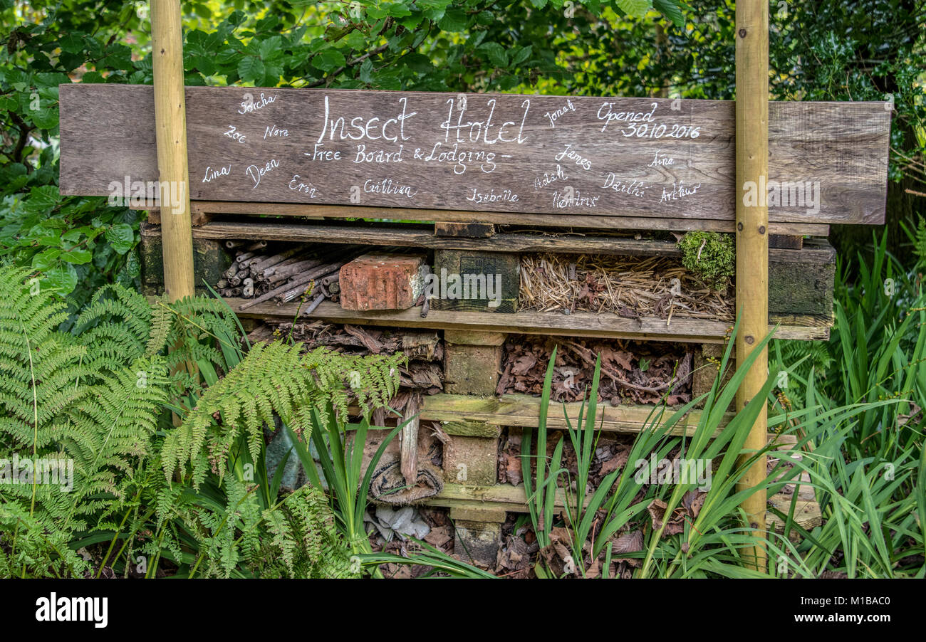 Jesus bugs hi-res stock photography and images - Alamy