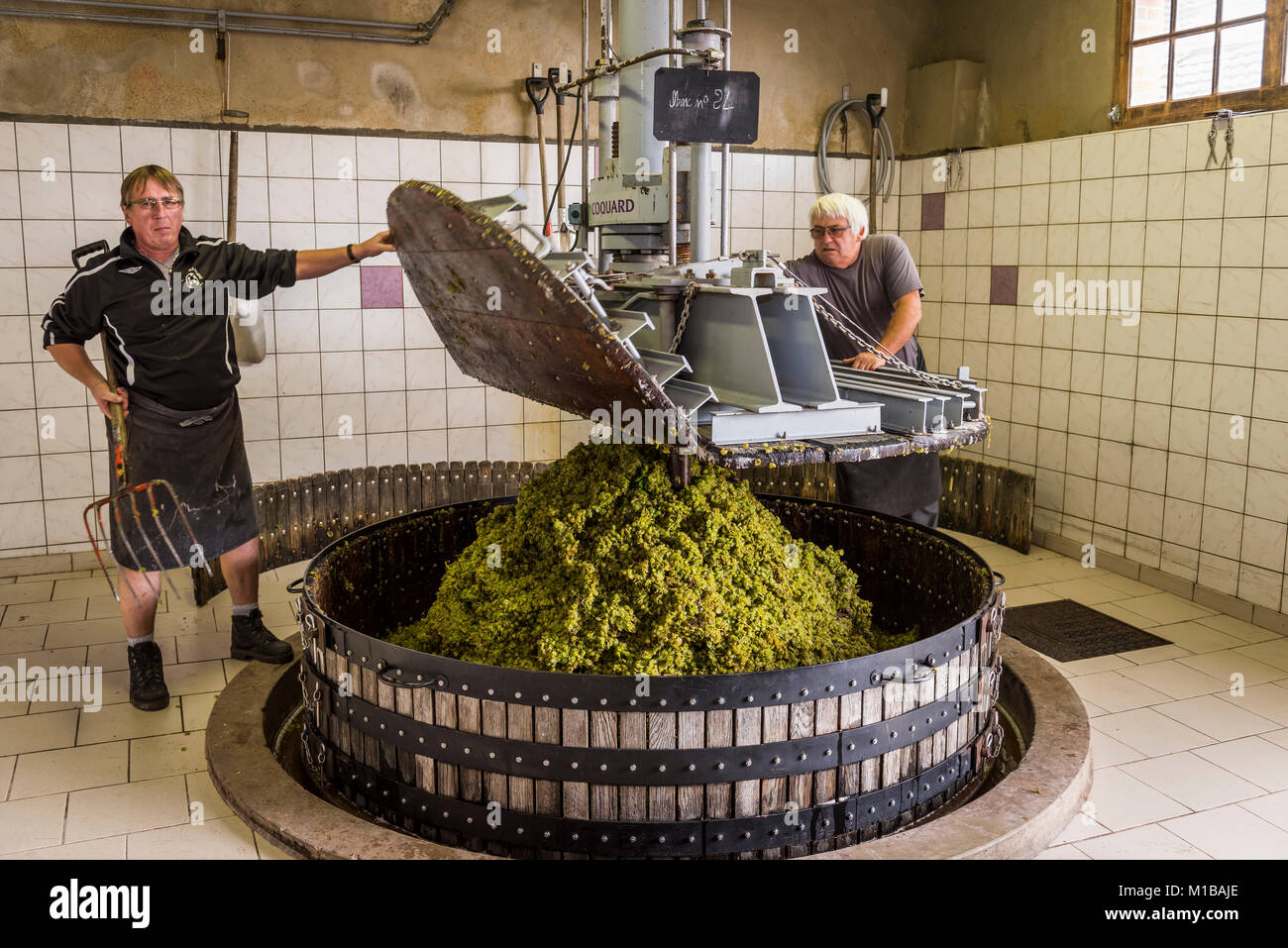 Two grape pressing men hi-res stock photography and images - Alamy