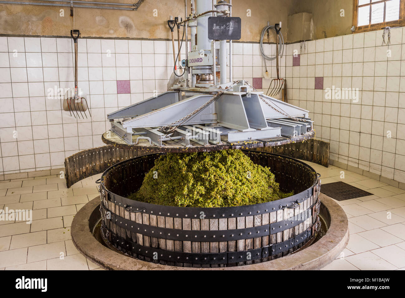 Hautvillers, France - August 11, 2017. Pressing the grapes with an old ...