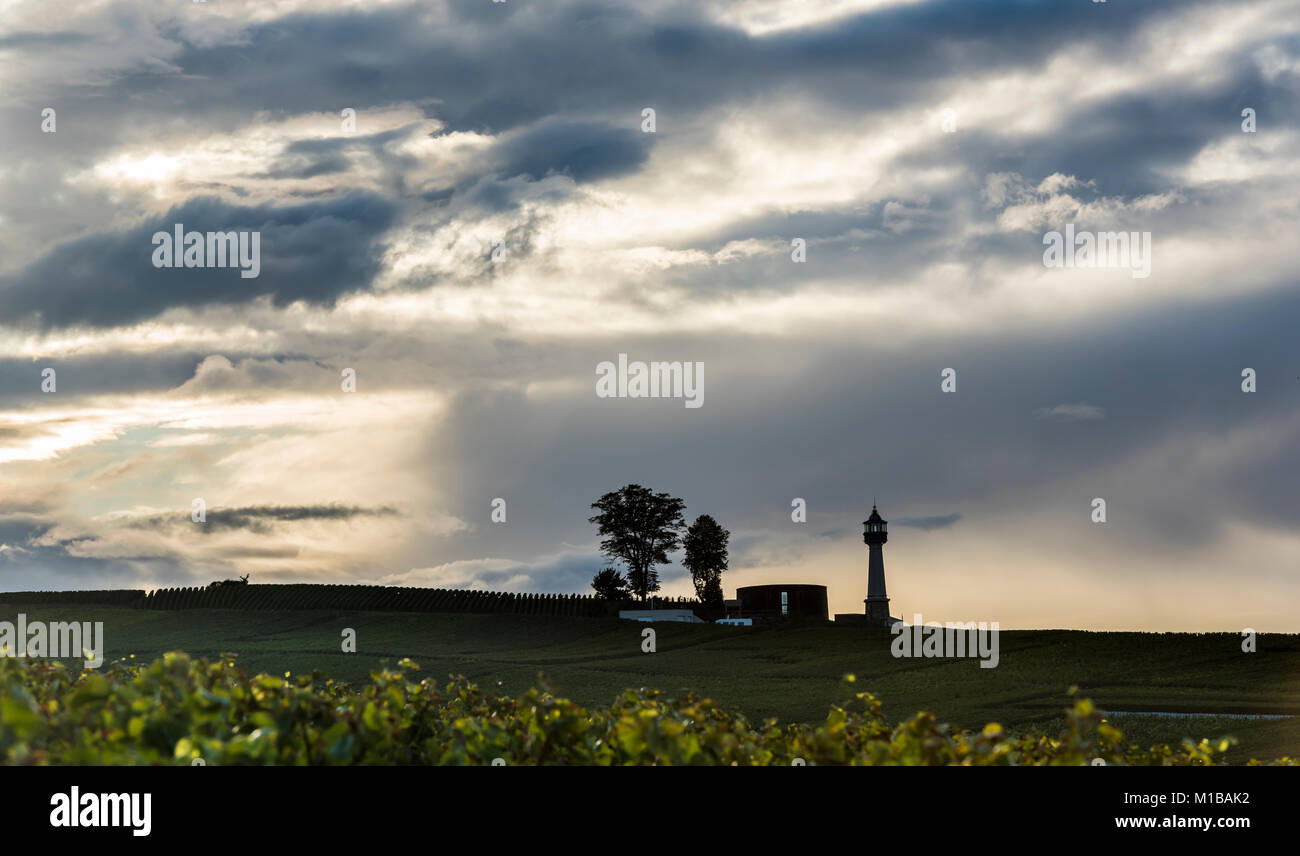 Verzenay hi-res stock photography and images - Alamy
