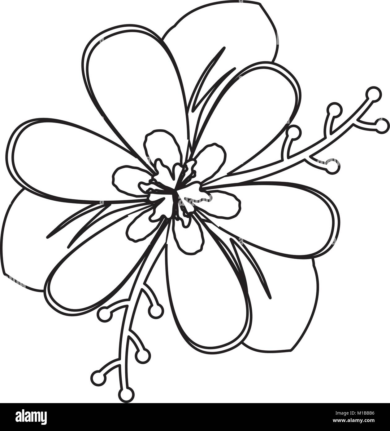 rustic floral design Stock Vector Image & Art - Alamy