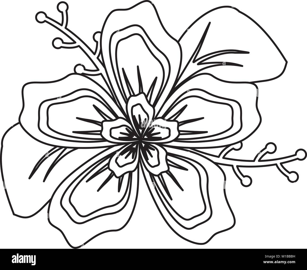 rustic floral design Stock Vector Image & Art - Alamy