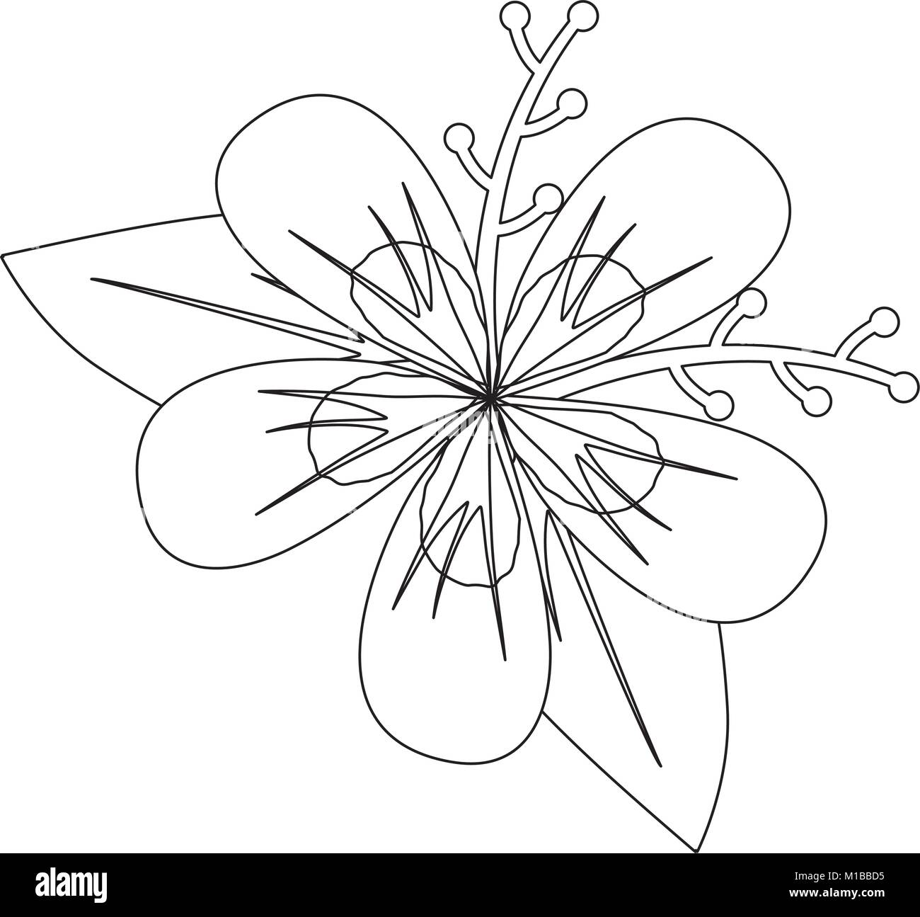 rustic floral design Stock Vector Image & Art - Alamy