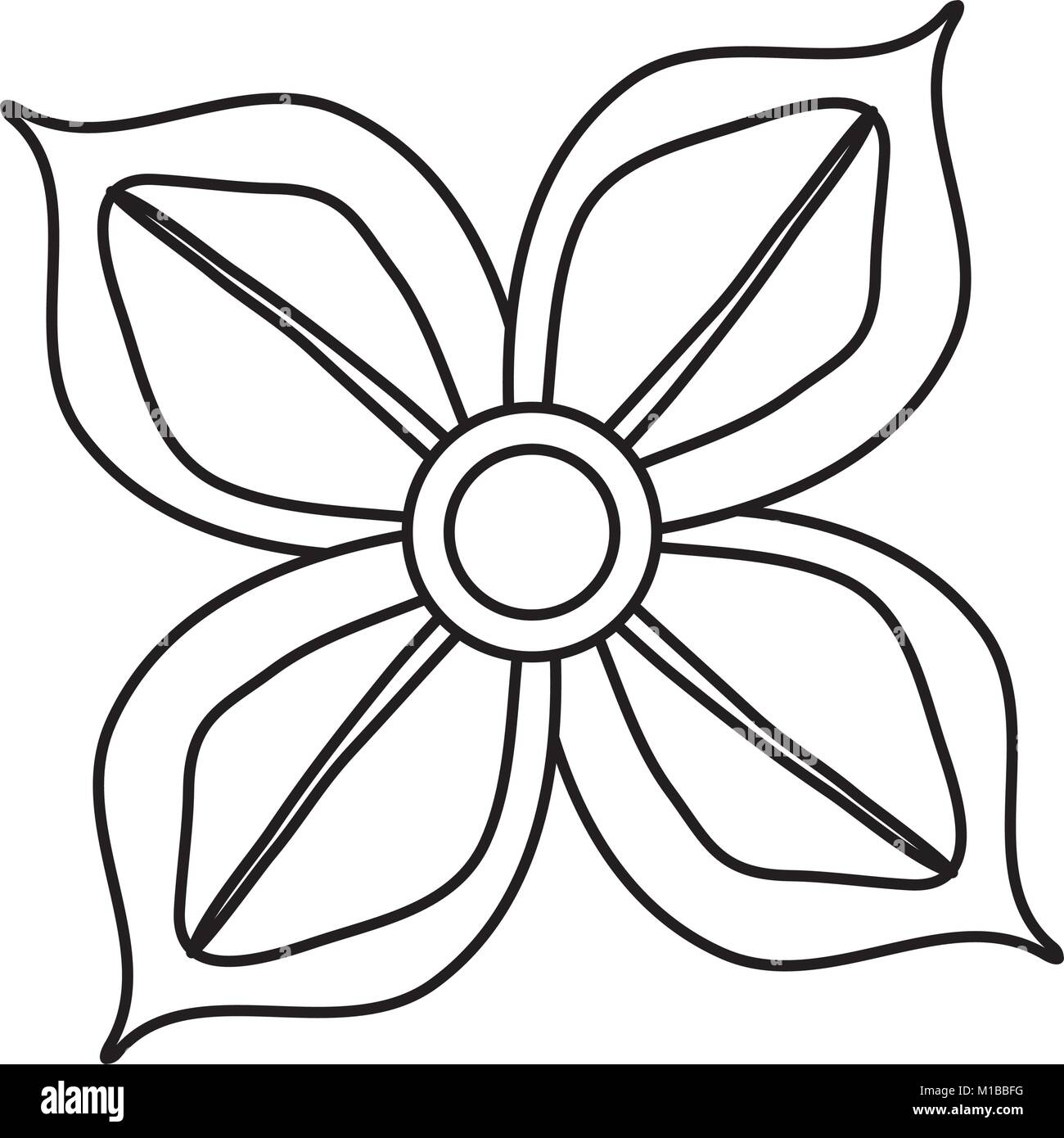 Four leaf rose Stock Vector Images - Alamy