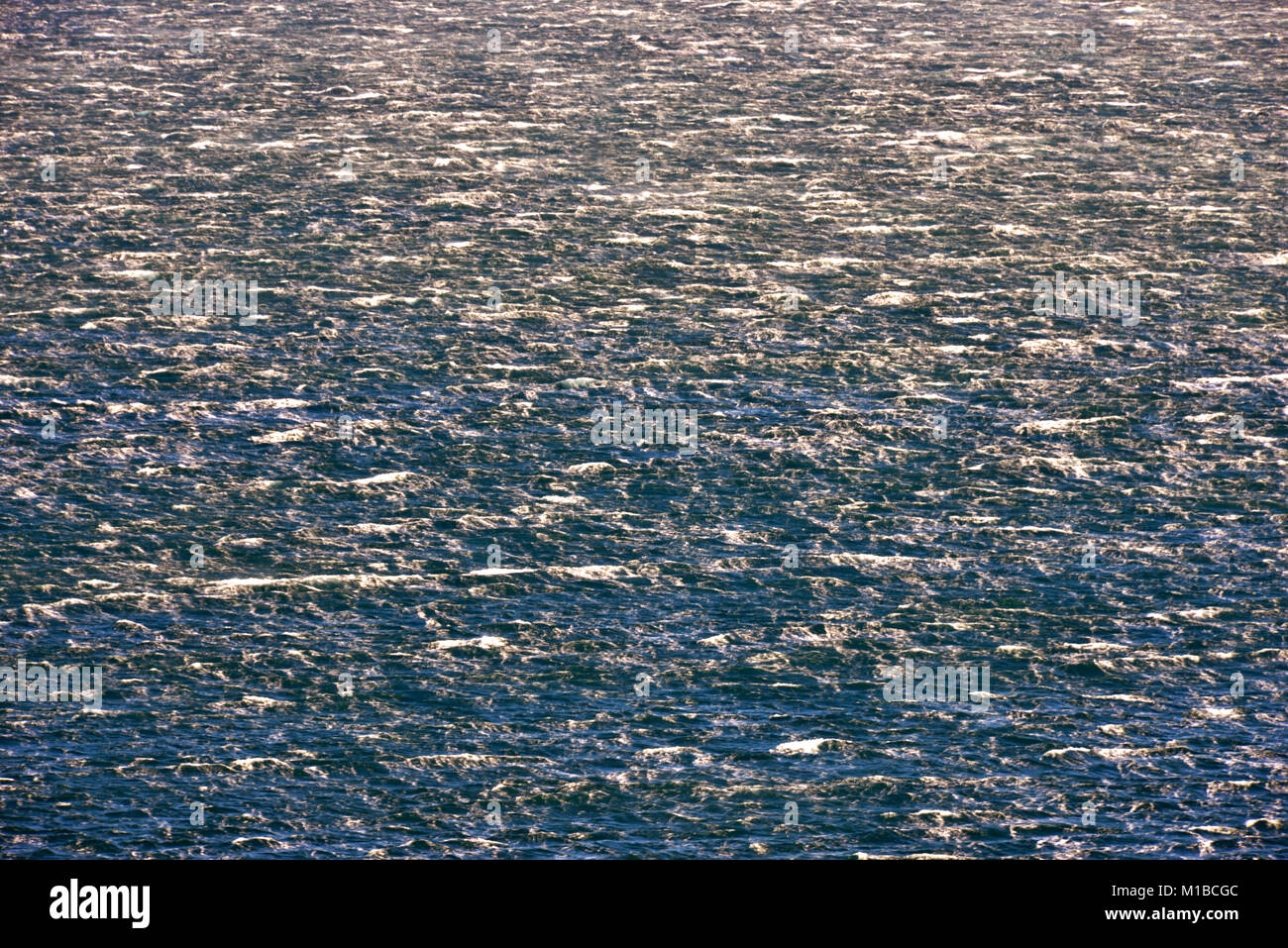 sea water surface in windy day Stock Photo - Alamy