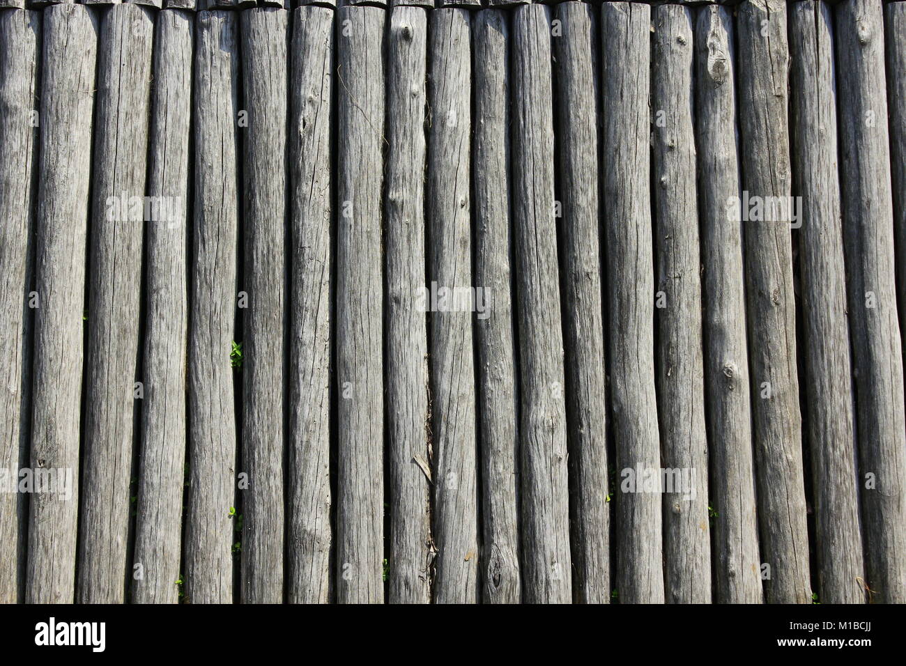 texture from big old grey and wooden logs Stock Photo - Alamy