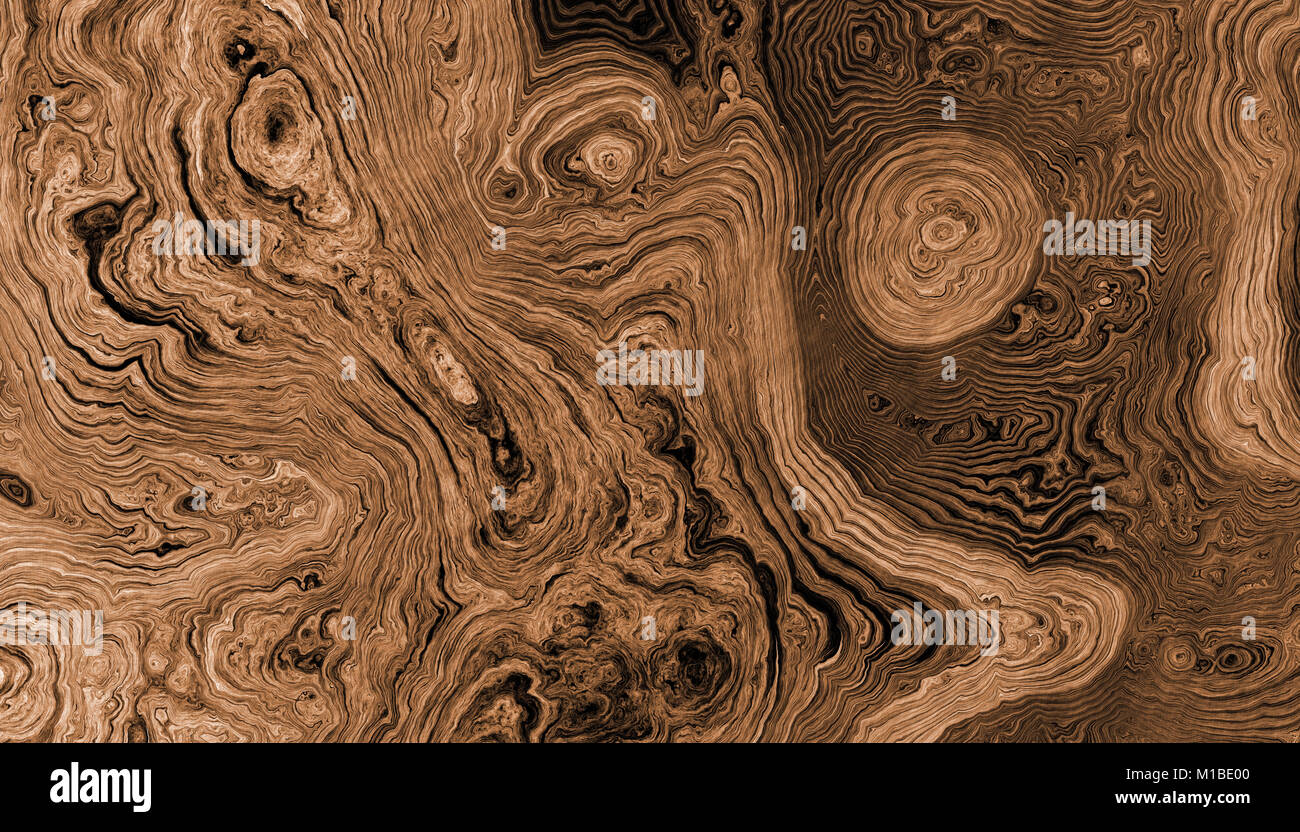 Texture of roots of tree with wavy lines and age rings. Abstract ...