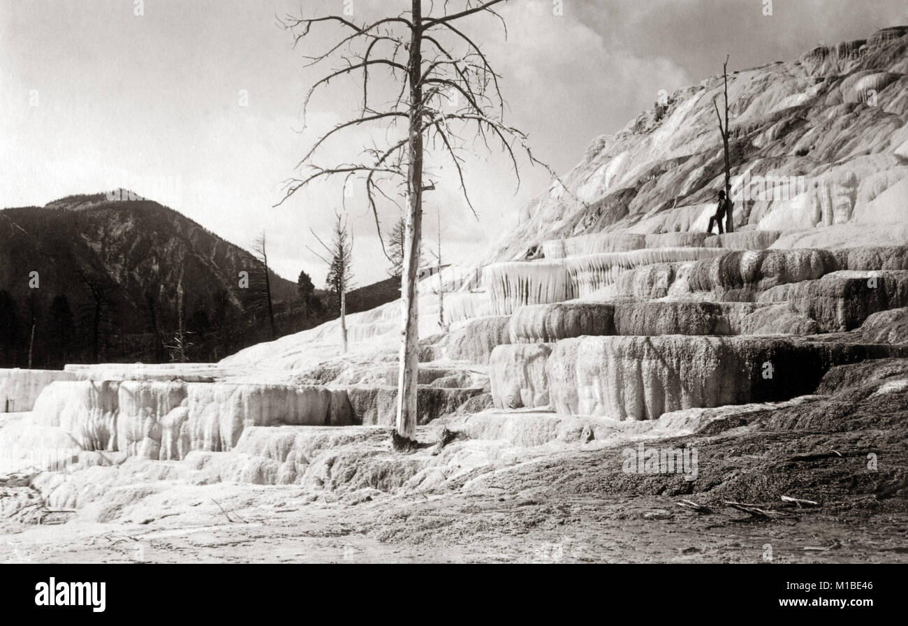 Pink or White Terrace, North Island New Zealand 1880's Silica depostis ...