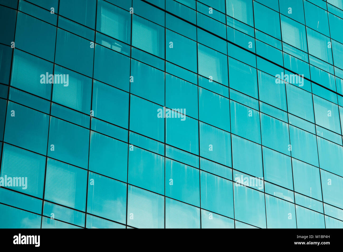 full frame shot of shiny building windows made of glass material Stock ...