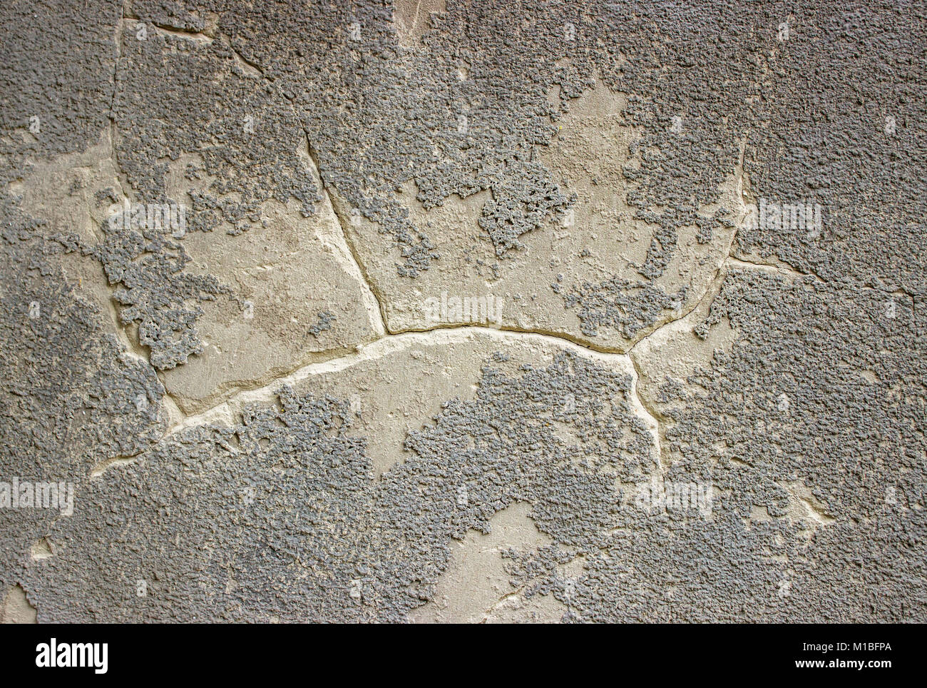 The concrete surface is white, embossed. Seamless texture Stock Photo ...