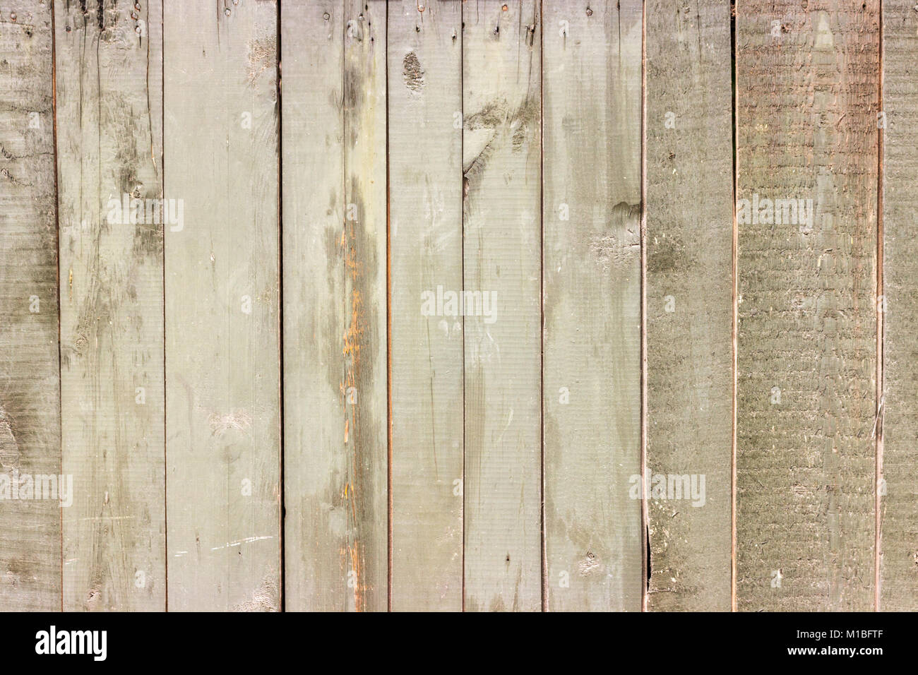 Vintage white background of natural wood old wall Stock Photo - Alamy