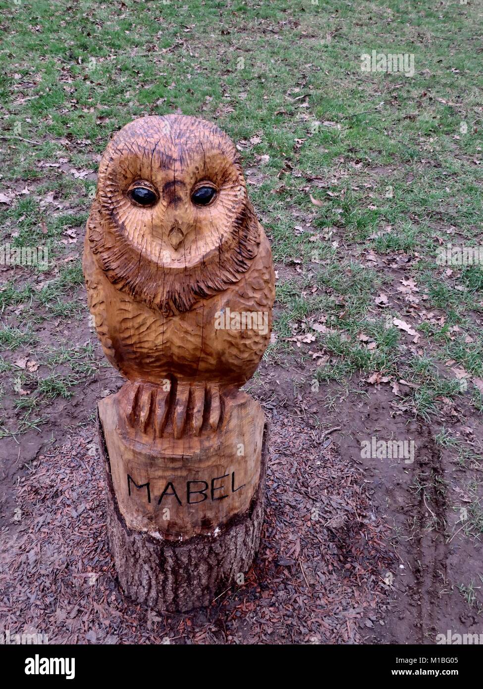 Carved Wooden Owl High Resolution Stock Photography and Images - Alamy