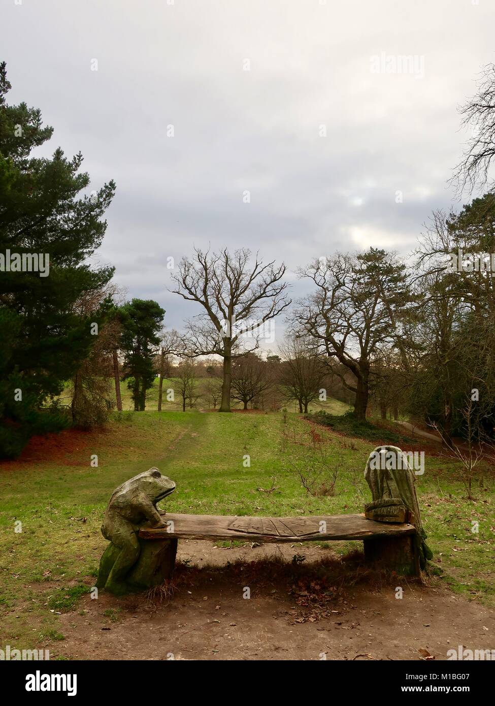 Carved wooden frog / toad bench in Christchurch Park, Ipswich, Suffolk ...
