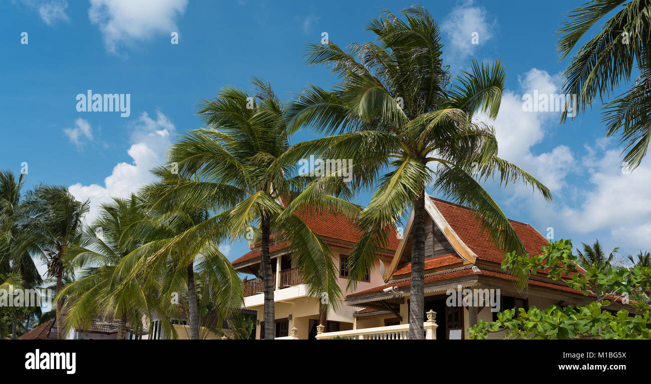 Palm roof hi-res stock photography and images - Alamy