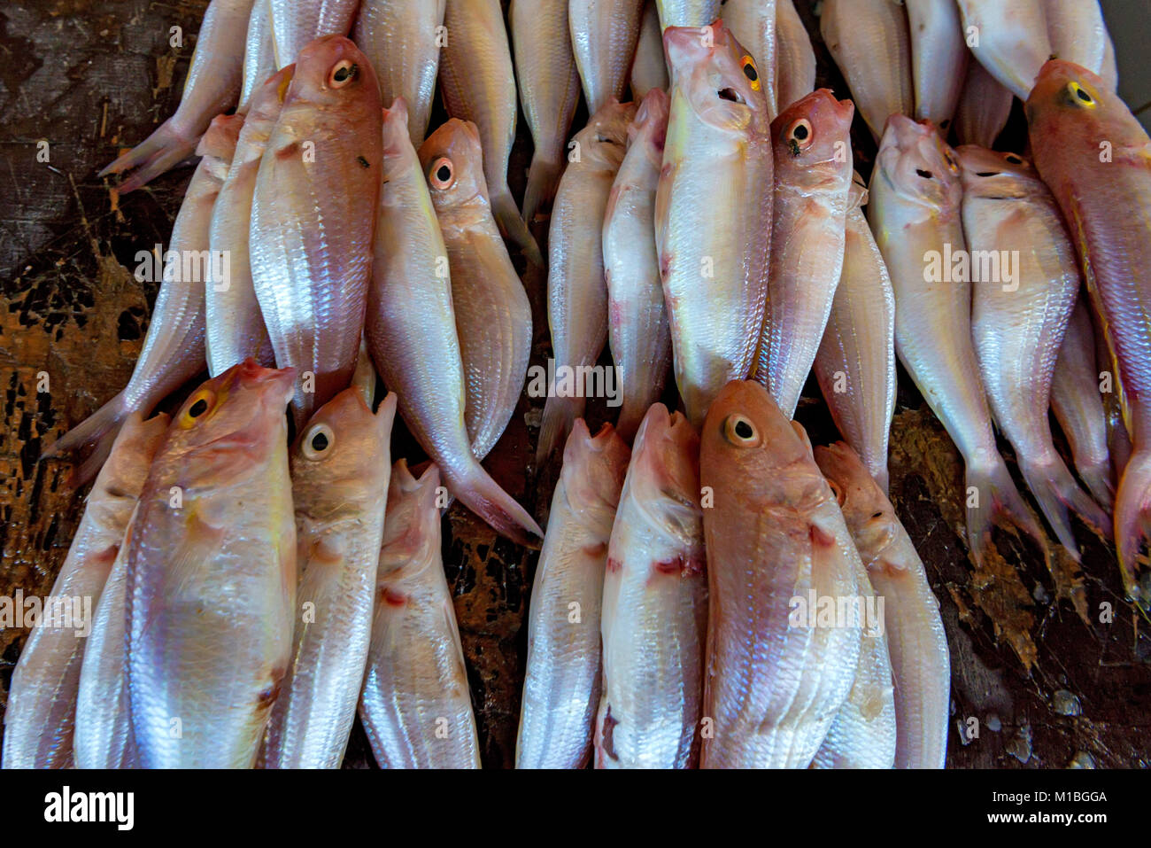 Fresh raw fish at market Stock Photo - Alamy