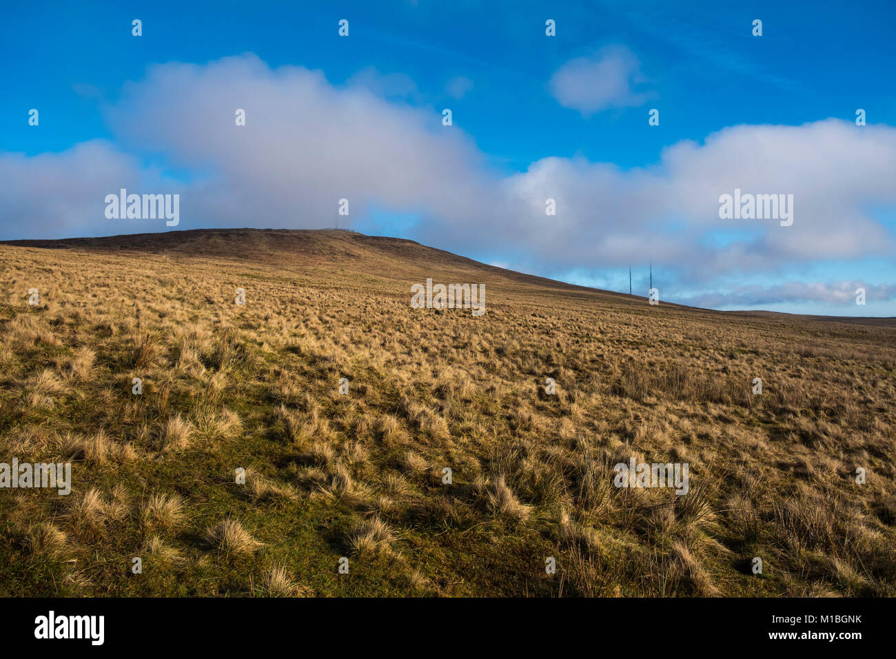 View of Divis and the Black Mountain, National Trust, Belfast, Northern ...