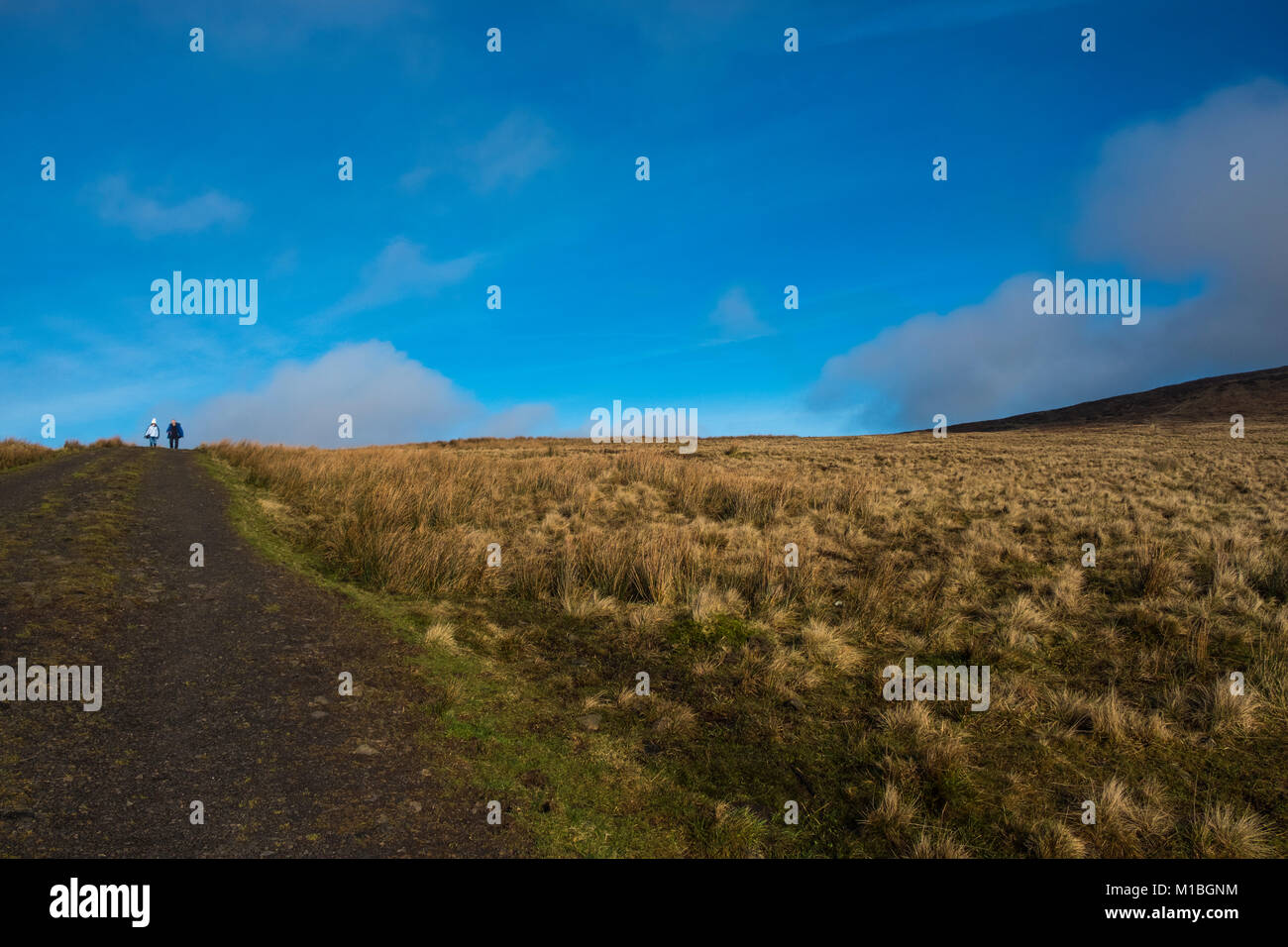 View of Divis and the Black Mountain, National Trust, Belfast, Northern ...
