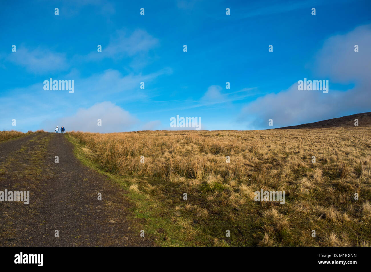 Divis mountain hi-res stock photography and images - Alamy