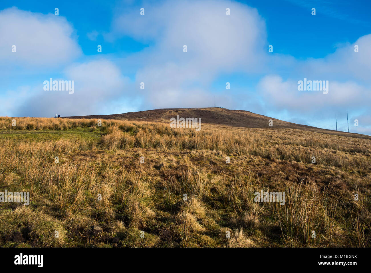 View of Divis and the Black Mountain, National Trust, Belfast, Northern ...