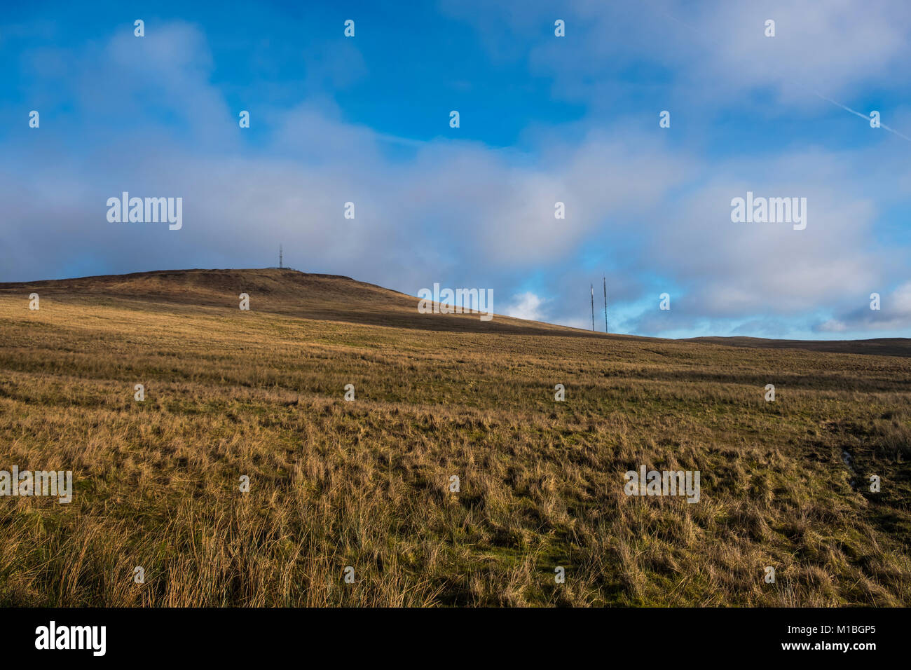 View of Divis and the Black Mountain, National Trust, Belfast, Northern ...