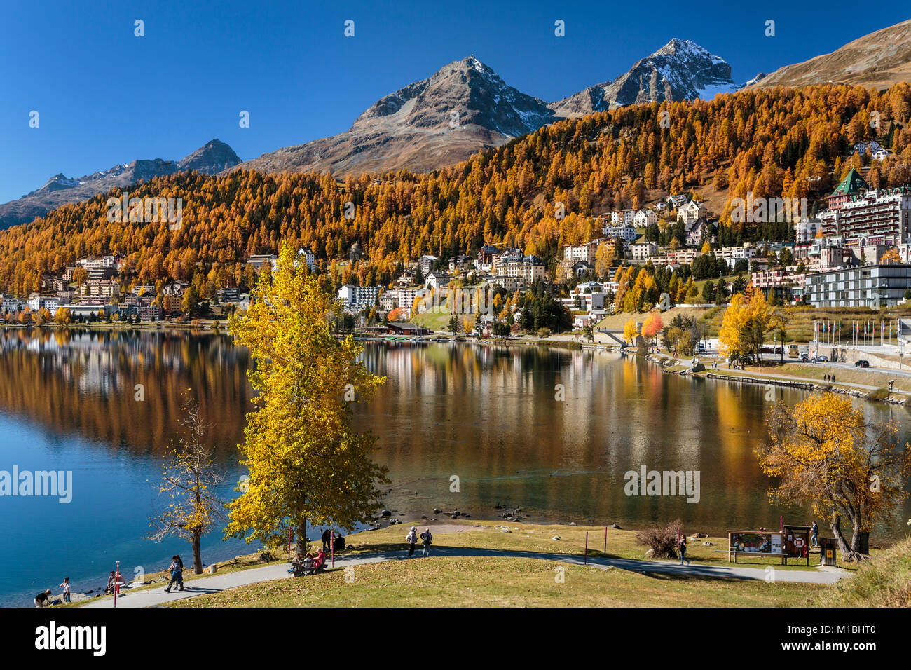 Fall foliage color and the luxury resort town of St. Moritz ...
