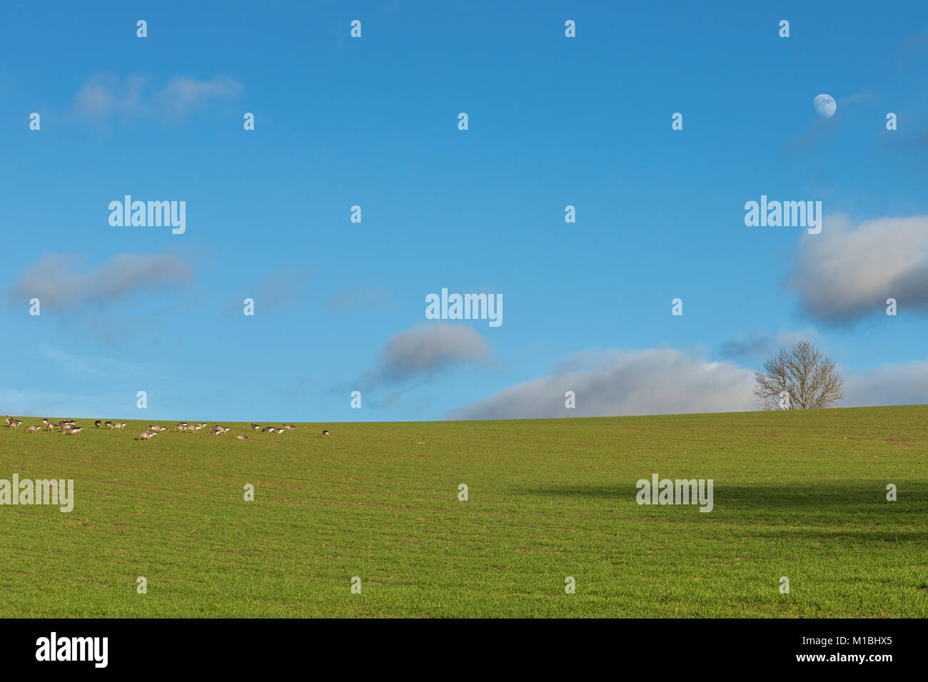 Charles orear hi-res stock photography and images - Alamy
