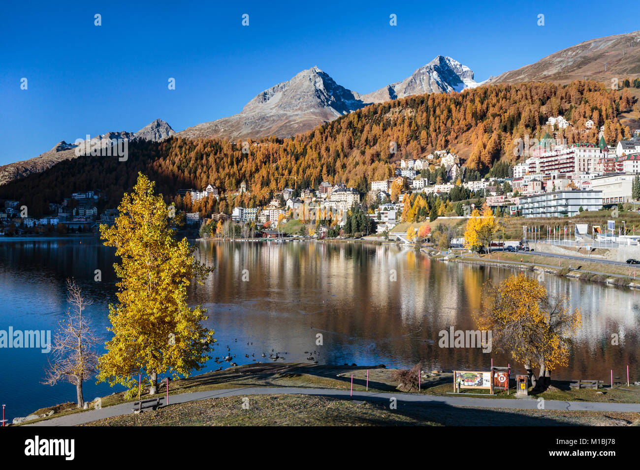 Fall foliage color and the luxury resort town of St. Moritz ...