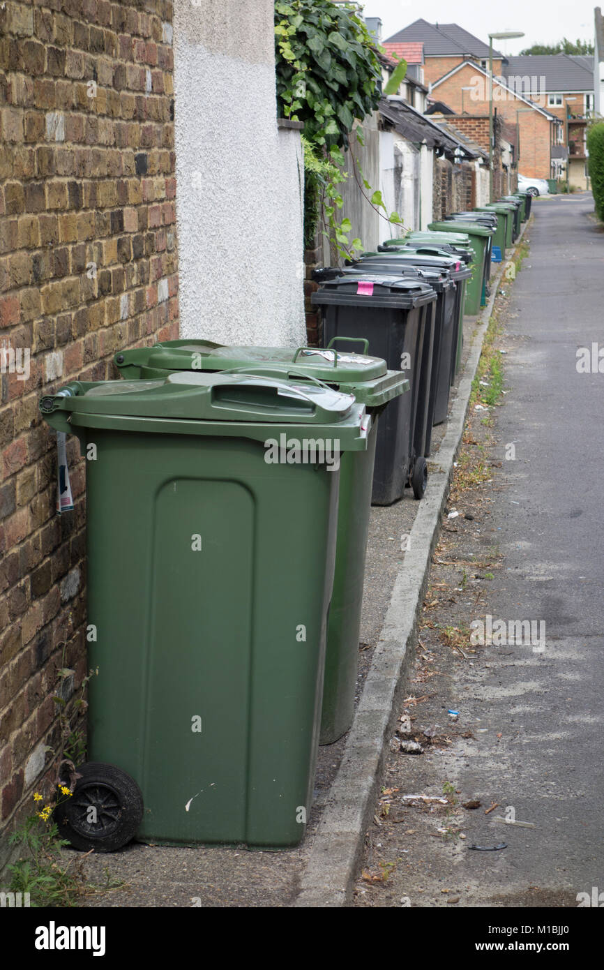 Domestic recycling bins and general household rubbish bins left out ...