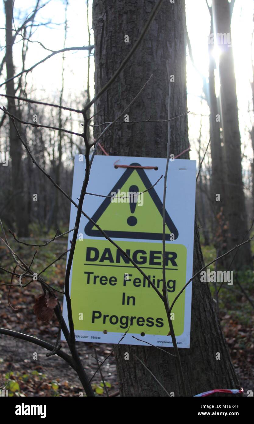 Tree cutting warning sign hi-res stock photography and images - Alamy