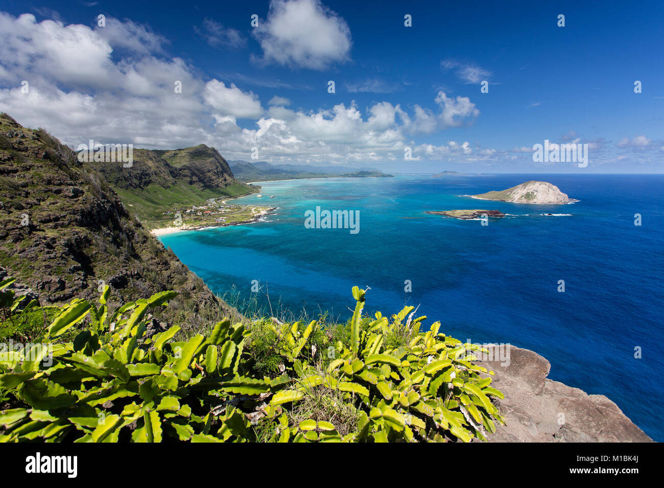 View from the Makapu'u Point Lookout, O'ahu, Hawaii Stock Photo - Alamy
