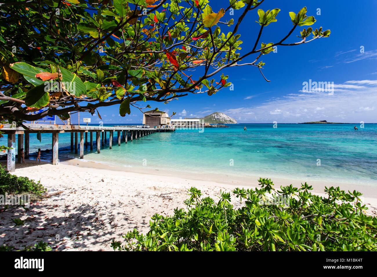 Makai research pier, oahu hi-res stock photography and images - Alamy